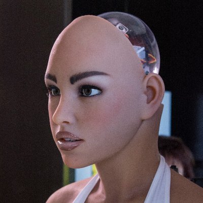 File:Realdoll Realbotix.jpg - FembotWiki